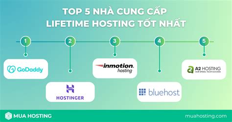 Lifetime Hosting Là Gì Tầm Quan Trọng Của Lifetime Hosting Viết Bởi