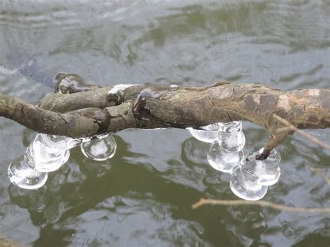 Susan Isla Tepper And Jamie Cat Callan Without Warning The Galway Review