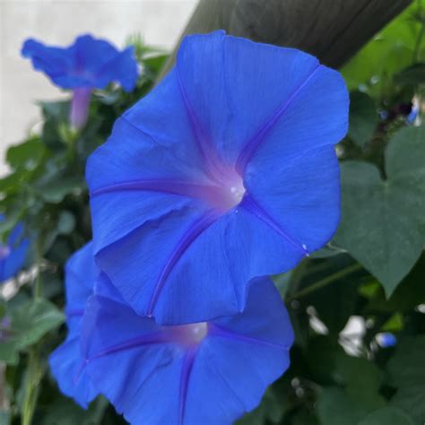 Stream Sexy Bitch Krunk Remixwav By Roy Listen Online For Free On