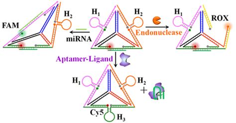Dna Tetrahedra Modules As Versatile Optical Sensing Platforms For