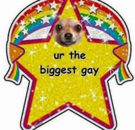 270 Lgbt Memes Ideas In 2025 Lgbt Memes Lgbtq Funny Lgbt Humor