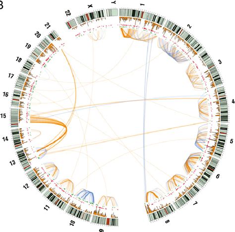 Specific Cis Interactions That Depend On Erg Expression A Schematic