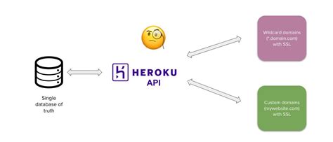 how to build an app that supports wildcard and custom domains with ssl