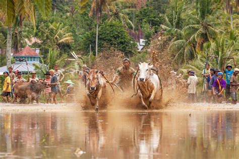 20 000 Foto Asn Indonesia Terbaik · Unduh Gratis 100 · Foto Stok Pexels