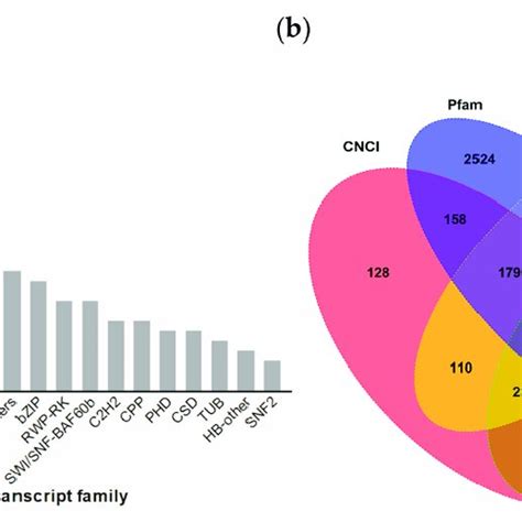 Identification Of The Transcription Factors Tfs And Long Non Coding Download Scientific