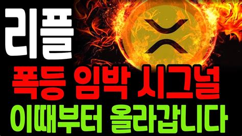 리플 전망 폭등 임박 시그널 이때부터 올라갑니다 Youtube