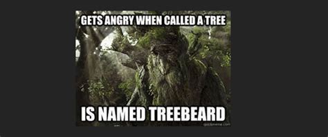 Abbey Perini Dev Community