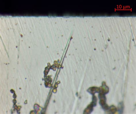 Optical Vs Electron Microscope Scienceofsharp