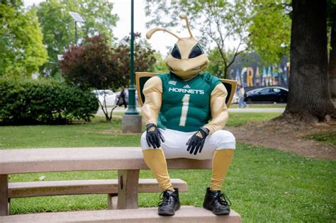 Happy 77th Birthday Herky 🥳 Fun Fact Herky Is A Colloquialism For