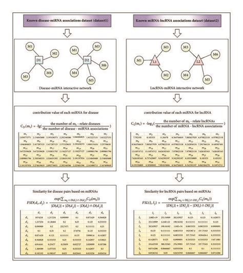 The Flowchart Of Functional Similarity Calculation Based On Information Download Scientific