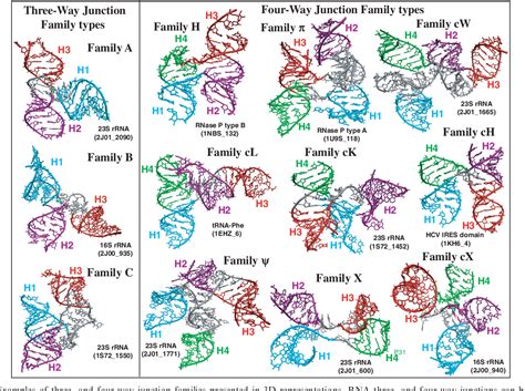 figure 1 from predicting coaxial helical stacking in rna junctions