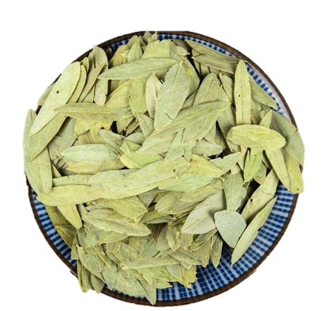 Purgatives Definition Classification Uses Indications