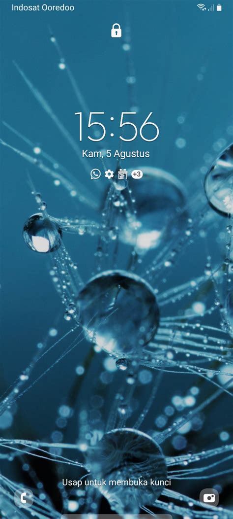 Have Has Kg 3rd Grade Flashcard Wayground