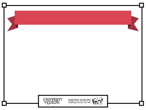 Certificate Of Course Completion The Horse Portal