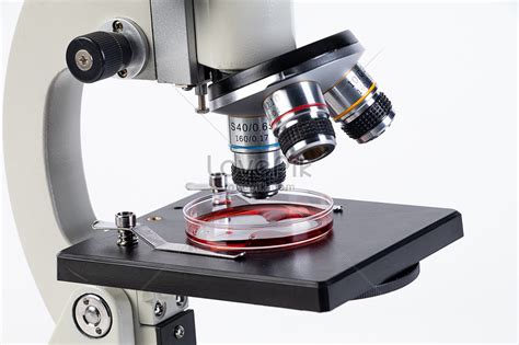 현미경 사진 무료 다운로드 Lovepik