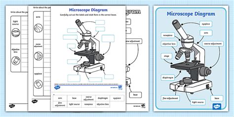 Microscope Diagram Pack Teacher Made Twinkl