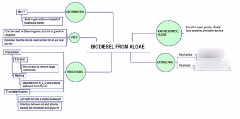 Biodiesel From Algae Process Diagram Diagram Quizlet