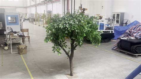 Citrus Object Detection Dataset By Citrus