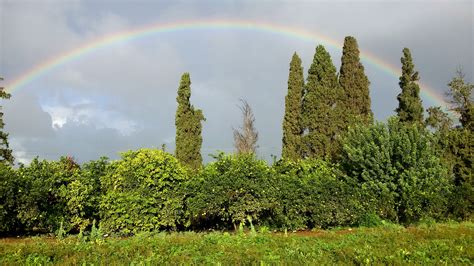Small Rainbow מהמשק חקלאות אורגנית איריס בן צבי