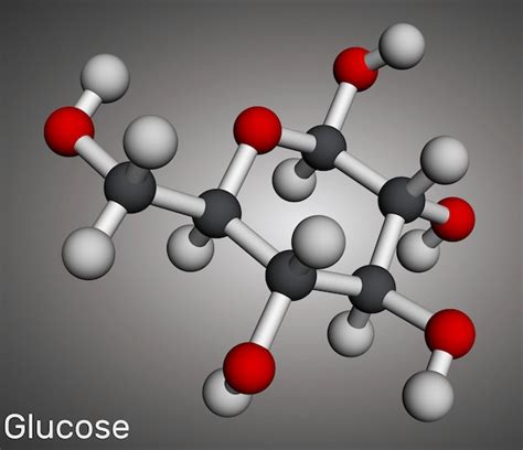 Glucose Molecule Model Glucose Isomer Molecular Models As Tools For