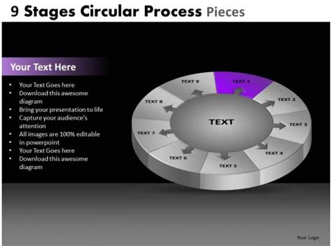 Stages Circular Process Pieces Powerpoint Slides And Ppt Templates DB PowerPoint Slide