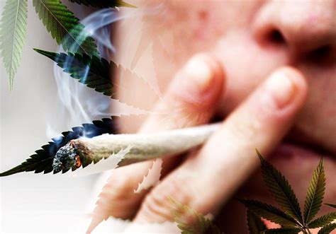 El Efecto Nocivo De La Marihuana En La Salud Es Todavía Peor De Lo Que