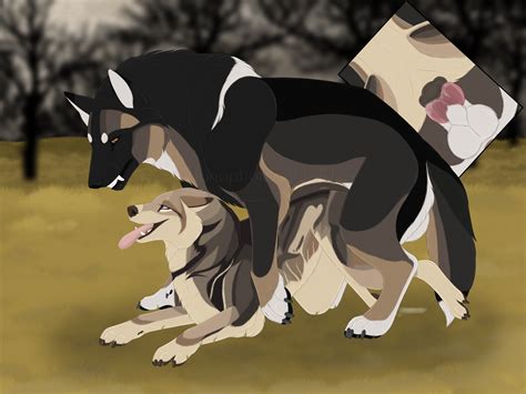 Rule 34 2024 Animal Genitalia Animal Penis Animal Pussy Ashen Vinny The Wolf Balls Canid Rule 34 2024 Animal Genitalia Animal Penis Animal Pussy Ashen Vinny The Wolf Balls Canid