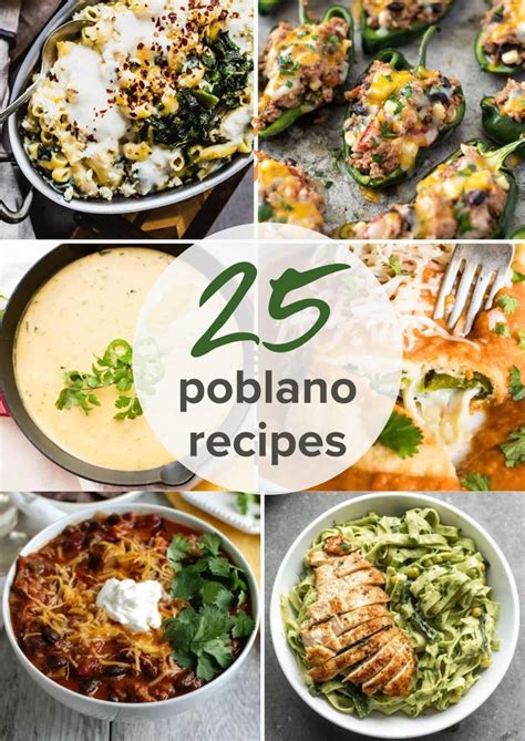 25 Poblano Pepper Recipes Includes Stuffed Poblanos Chili Dip And
