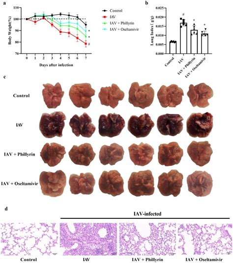 Phillyrin Treatment Alleviates Lung Inflammation Caused By Iav