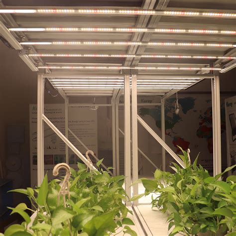 Arz Array Horticulture Lighting Group Led Module Grow Light Koray Led