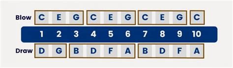 Learn C Harmonica Notes An Easy 5 Min Beginners Guide