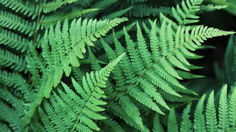 ‎תיכון עירוני יד תא‎ Added A New תיכון עירוני יד תא