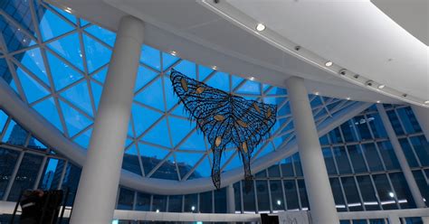 Andrés Paredes Deslumbra Con “el Oro De Los Sueños” En La Torre Macro