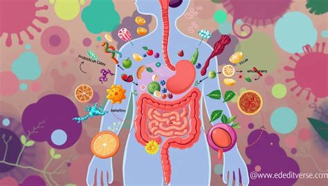 Gut Flora Guardians Microbiome Modulation In Diverticulitis Prevention