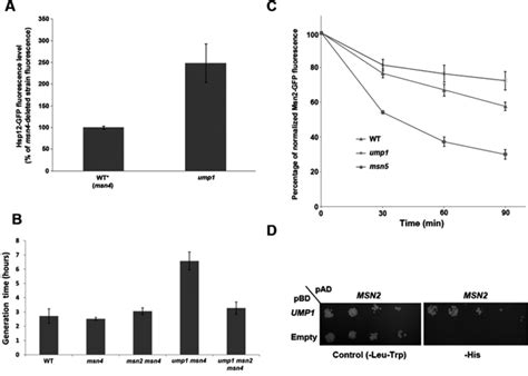 Fine Tuning Of The Msn2 4 Mediated Yeast Stress Responses As Revealed By Systematic Deletion Of