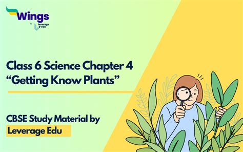 Ncert Class 6 Science Chapter 4 Getting To Know Plants Notes And Solutions Free Pdf