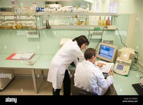 Quantification Of Genetically Modified Organisms Gmos Pcr Rt Dna Analysis Neiker Tecnalia