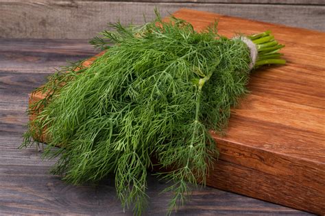 Dill — Foodstory