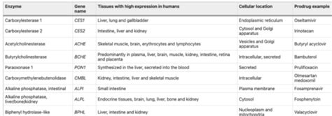 Dd4 Prodrugs And Drug Delivery Systems Flashcards Quizlet