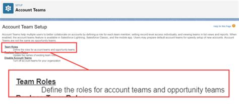 Add Account Team Members In Salesforce