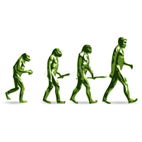 Australopithecus Human Evolution Stock Illustrations 431