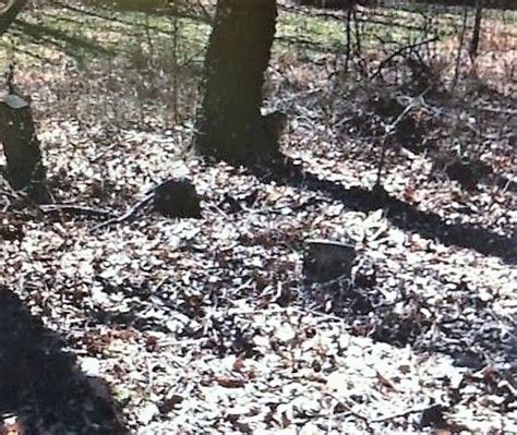 William A Mccrary 1861 1916 Find A Grave Memorial