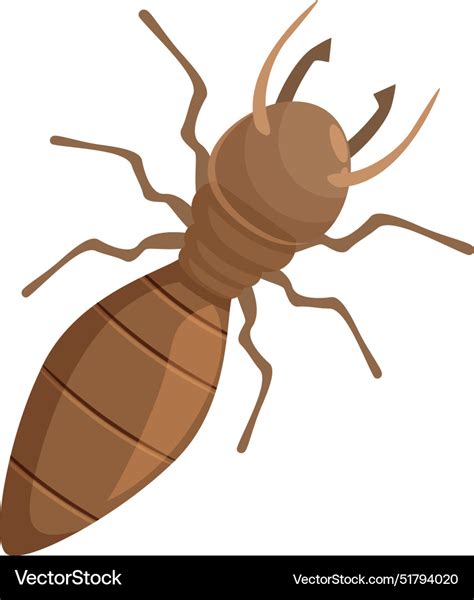 Brown Termite Insect Crawling With Six Legs Vector Image