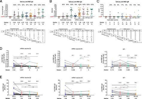 Michael Hust On Linkedin Conversion Of Monoclonal Igg To Dimeric And