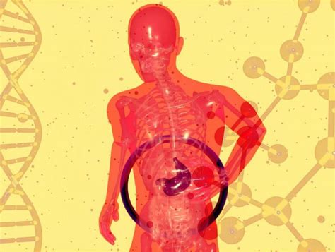 Most Common Liver Abnormalities How To Recognize And Test For Liver