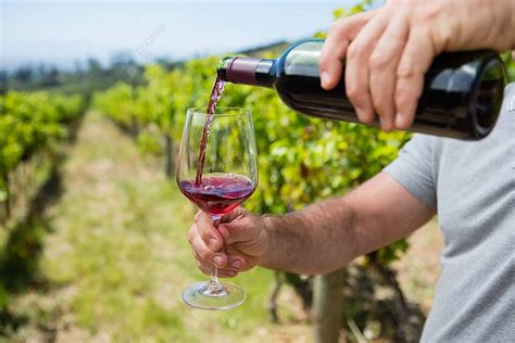 Mid Section Of Vintner Examining Wine Photo Background And Picture For