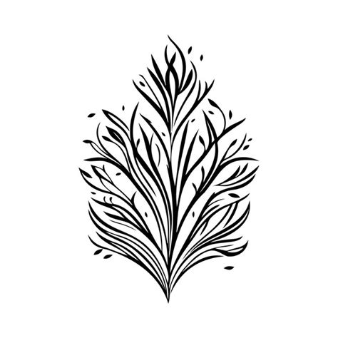 Premium Vector Symmetrical Ornament Floral Design Element Illustration Sketch Black