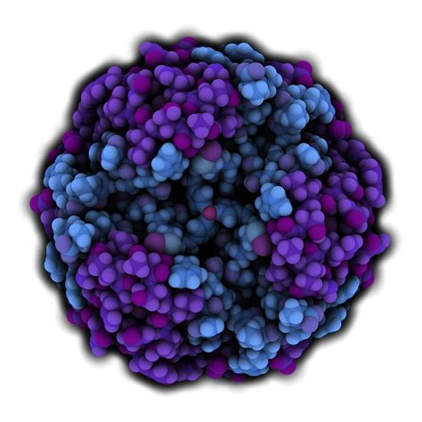 Application Note Development Of An Anti Drug Antibody Receptor Based Neutralizing Assay In