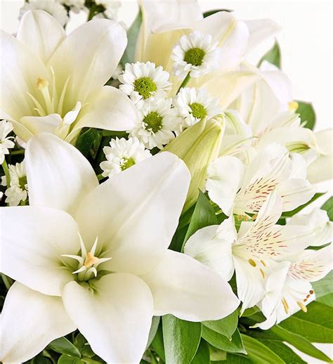 White Lily Flower Bouquet Modern White