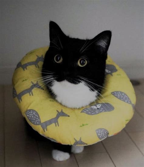 This Could Be Oddwin R Oddwin